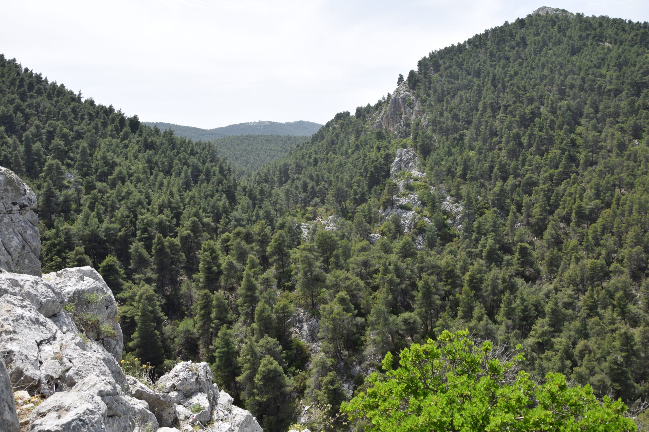 Μονοήμερη απόδραση στο βουνό - Nonstoptravellers